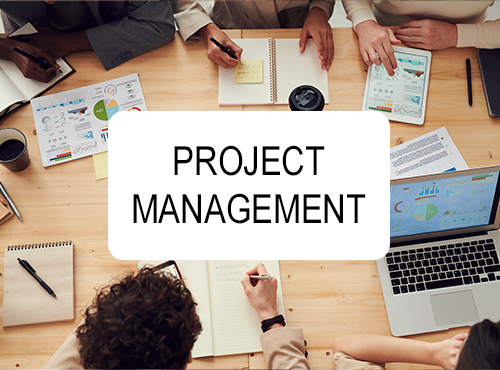 Project management - Perfony